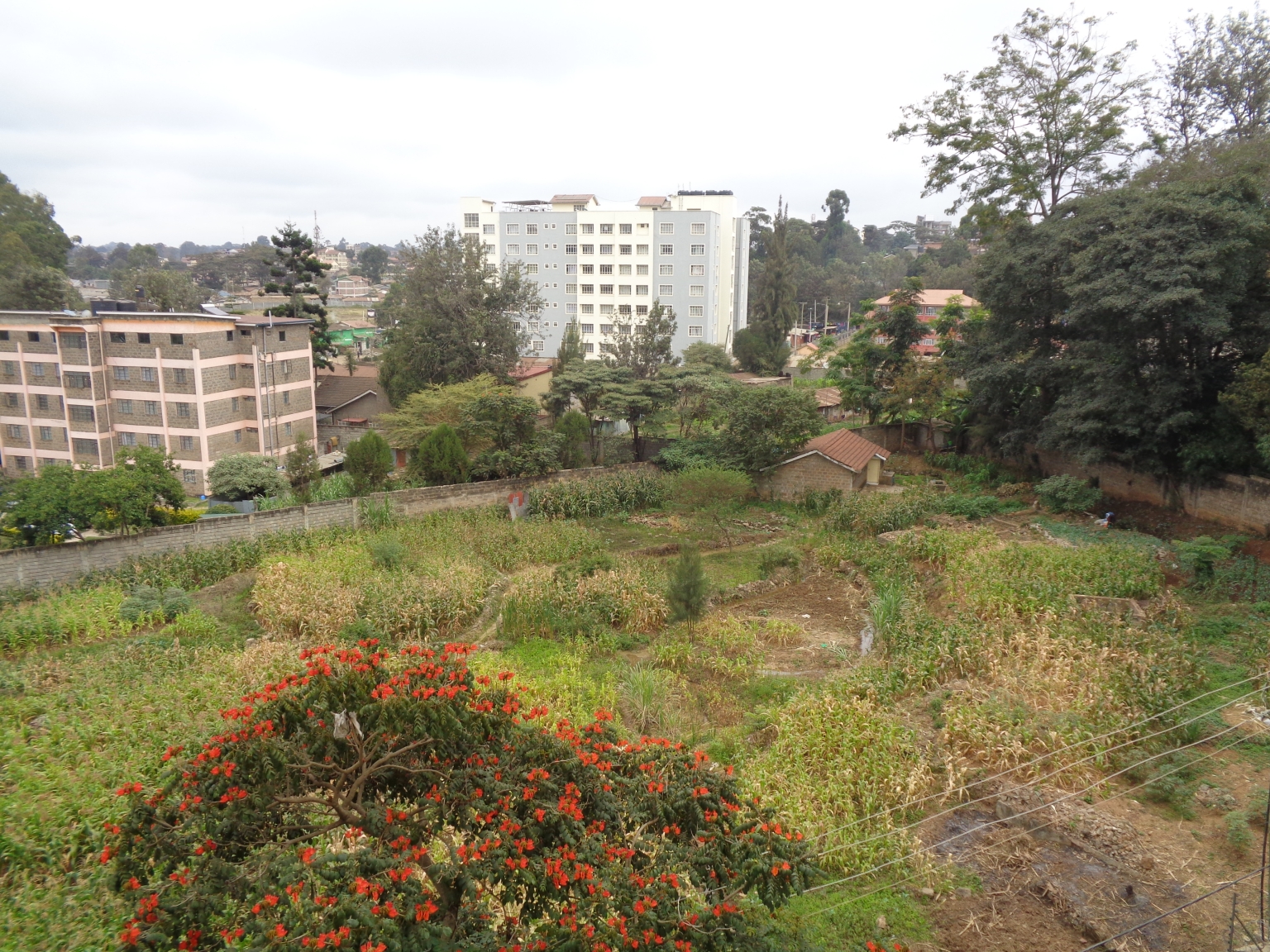 Land for sale - Villa Care Kenya