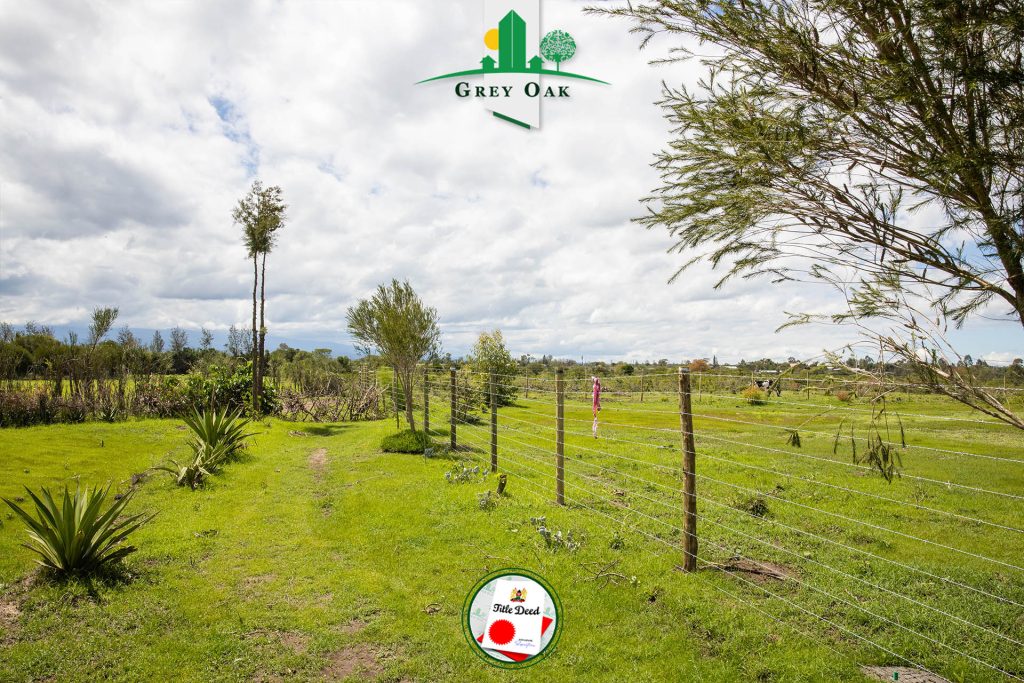 50 x 100 acre plots (Kilele View 3, Nanyuki) in Nanyuki - Villa Care Kenya