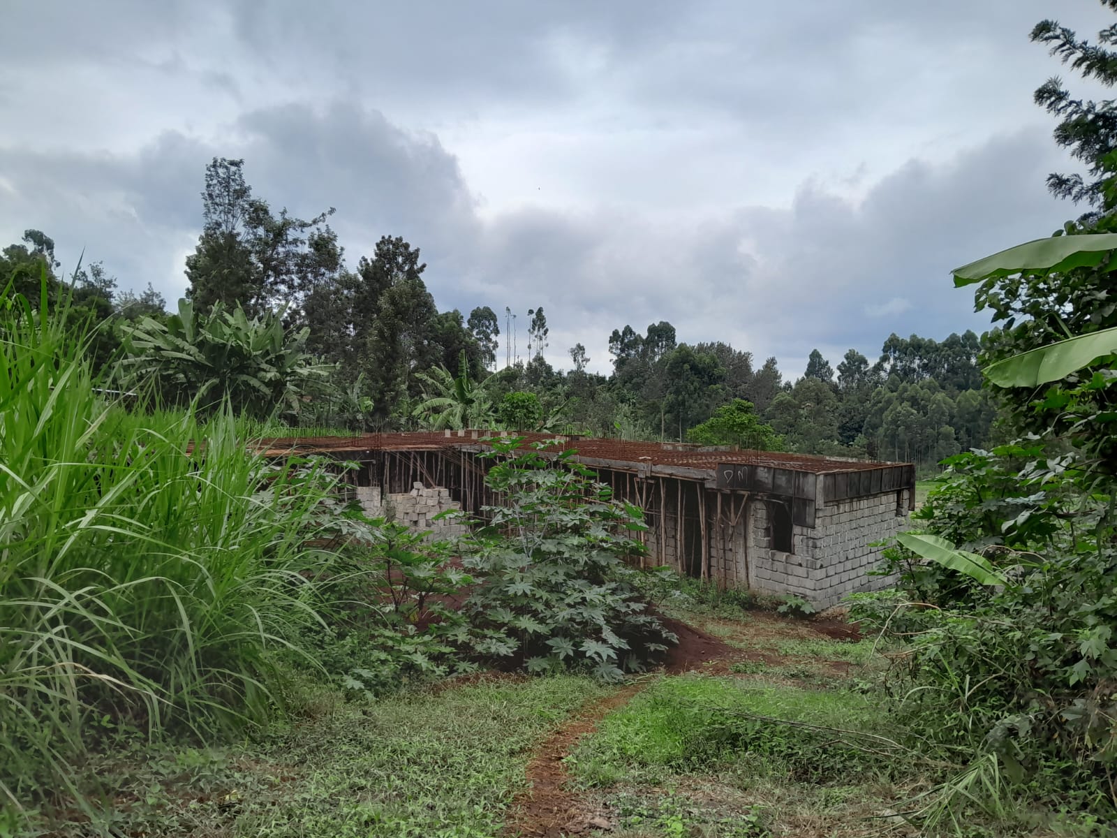 50 x 100 acre plot along Embu-Mbuvuri road - Villa Care Kenya